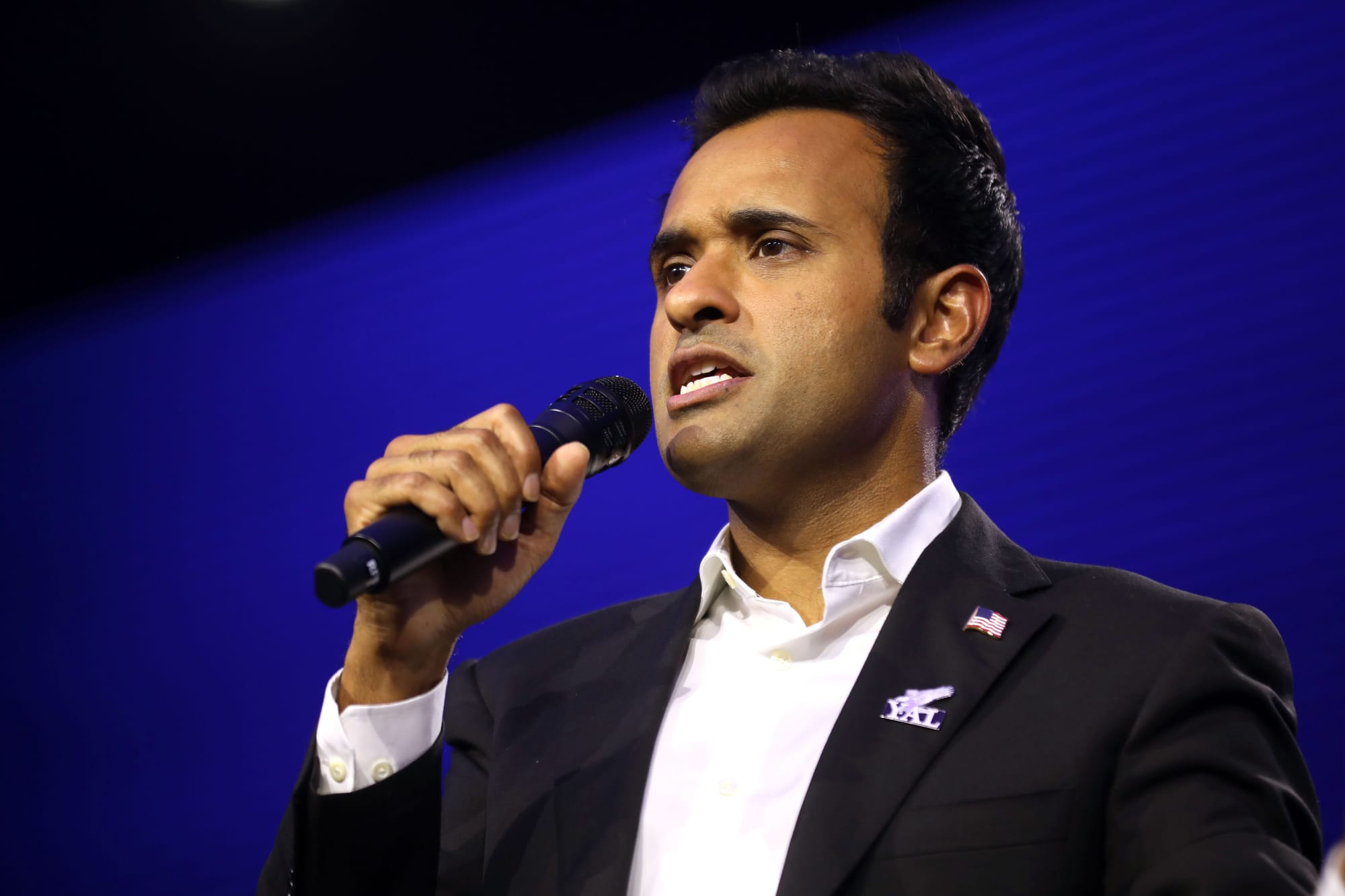 The Last Gatekeeper | Compact