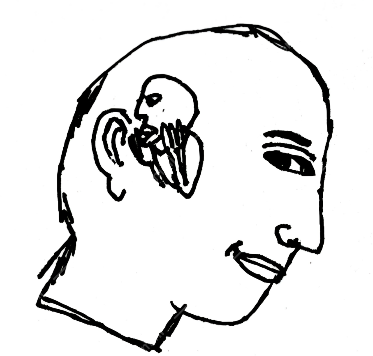 Compact (Page 2) | Compact